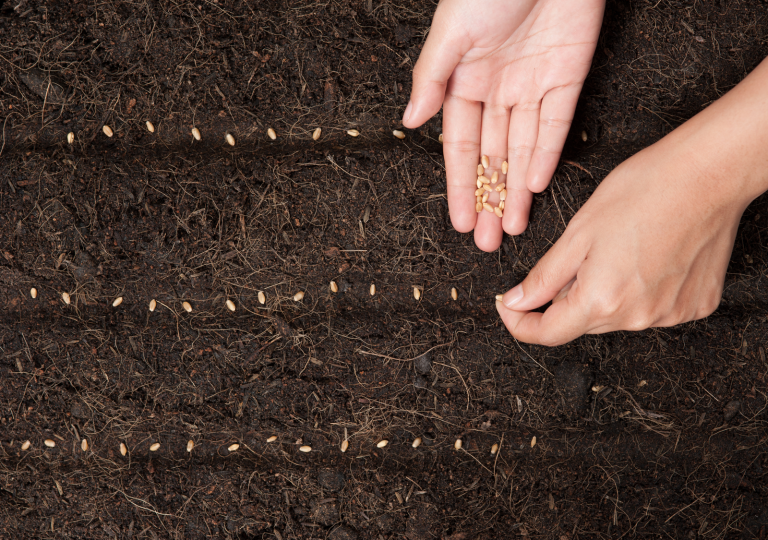How to Choose the Right NRCS Compliant CRP Seed Mix - All Native Seed, LLC